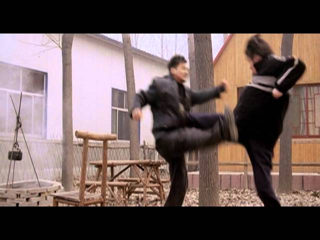 Jackie Chan Presents: Wu shu (2008) - Martial Arts & Action Entertainment