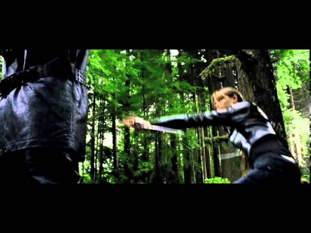 Marcus Young - Martial Arts & Action Entertainment