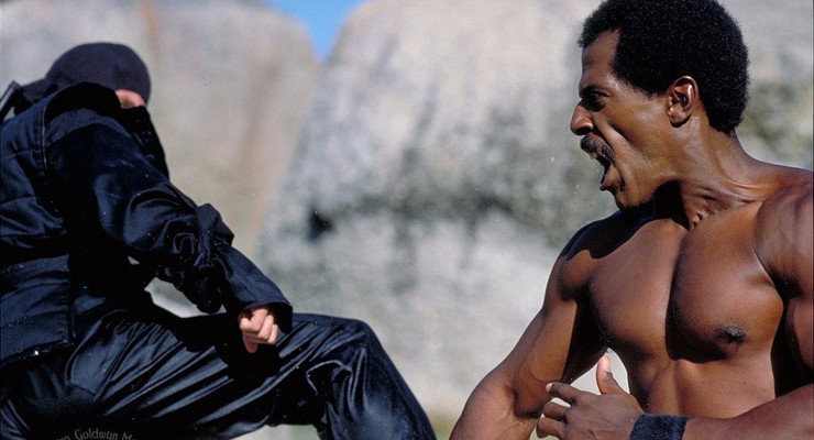 Steve James - Martial Arts & Action Entertainment