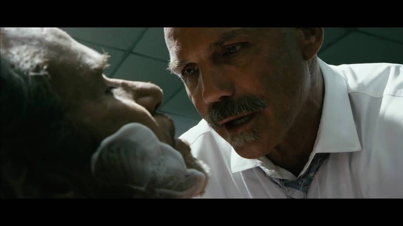 Assassin X Review - Martial Arts & Action Entertainment